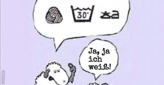 Ja, ja ich weiß!.. - DEBESTE.de