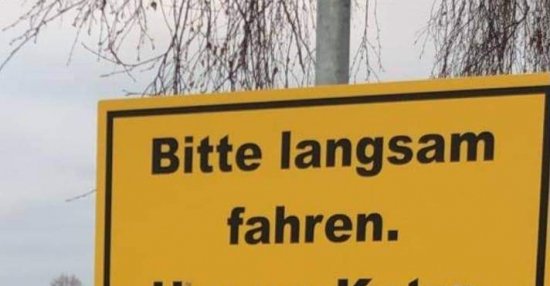 Bitte langsam fahren. Unsere Katze ist dumm... | Lustige Bilder ...