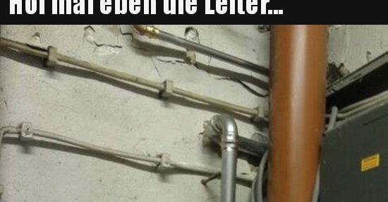 Hol mal eben die Leiter... | Lustige Bilder, Sprüche, Witze, echt lustig