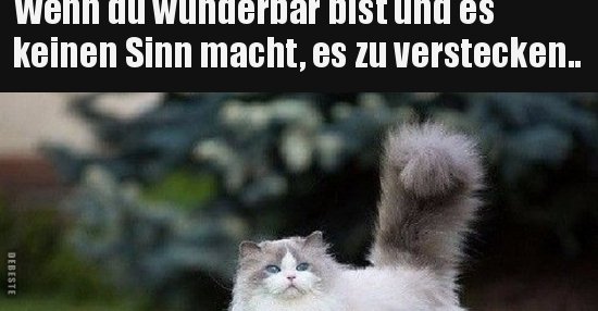 Wunderbar Macht Keinen Sinn Bilder
