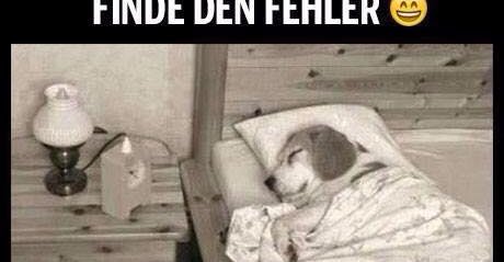 Finde den Fehler.. | Lustige Bilder, Sprüche, Witze, echt lustig