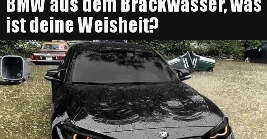 BMW aus dem Brackwasser, was ist deine Weisheit?.. | Lustige Bilder ...