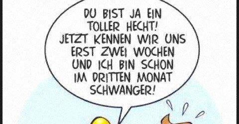 Du bist ja ein toller Hecht.. | Lustige Bilder, Sprüche, Witze, echt lustig