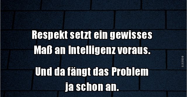 Respekt setzt ein gewisses Maß an Intelligenz voraus... | Lustige ...