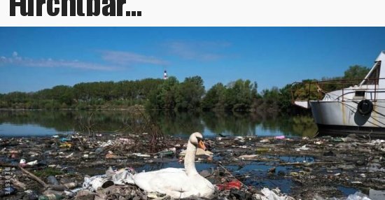 Furchtbar... - DEBESTE.de