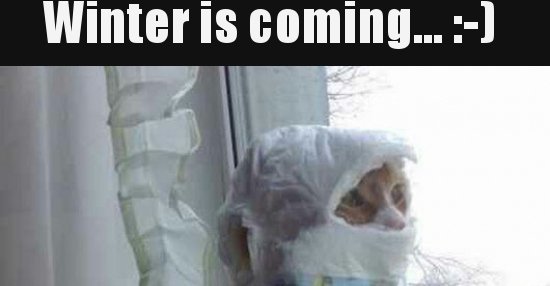 Winter is coming... :-) | Lustige Bilder, Sprüche, Witze, echt lustig