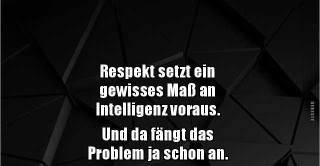 Respekt setzt ein gewisses Maß an Intelligenz.. | Lustige Bilder ...
