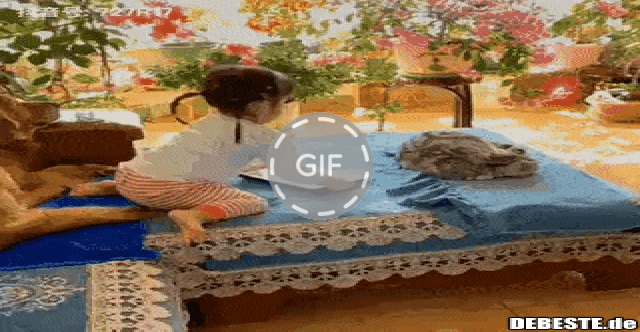 Oh ja, so geht es.. | Lustige Bilder, Sprüche, Witze, echt lustig