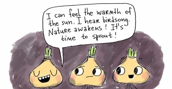 I can feel the warmth of the sun. I hear birdsong. Nature awakens! It's ...