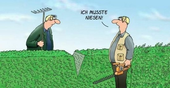 Ich musste niesen!.. | Lustige Bilder, Sprüche, Witze, echt lustig