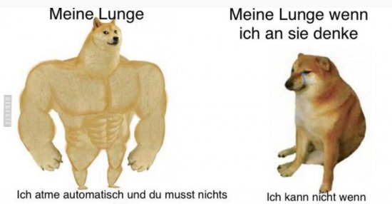 Meine Lunge - Meine Lunge wenn ich an sie denke - DEBESTE.de