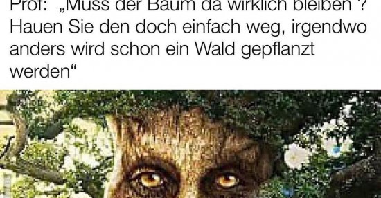 Prof: Muss der Baum da wirklich bleiben ? Hauen Sie den doch einfach ...