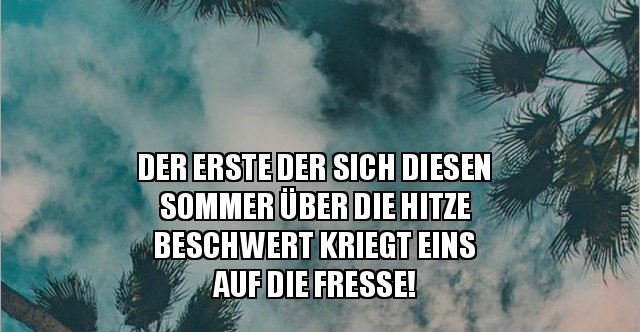Der Erste, der sich diesen Sommer über die Hitze beschwert.. | Lustige ...