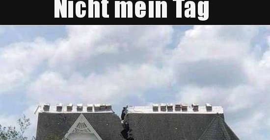 Nicht mein Tag.. | Lustige Bilder, Sprüche, Witze, echt lustig