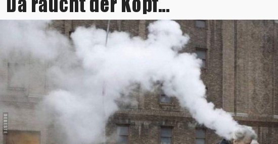Da raucht der Kopf... | Lustige Bilder, Sprüche, Witze, echt lustig