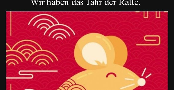 Wir haben das Jahr der Ratte.. | Lustige Bilder, Sprüche, Witze, echt ...