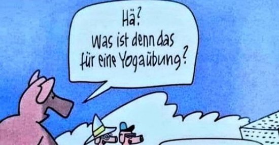 Hä? Was ist denn das für eine Yogaübung? Die faule Sau! - DEBESTE.de