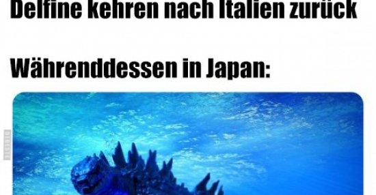 Delfine kehren nach Italien zurück.. | Lustige Bilder, Sprüche, Witze ...