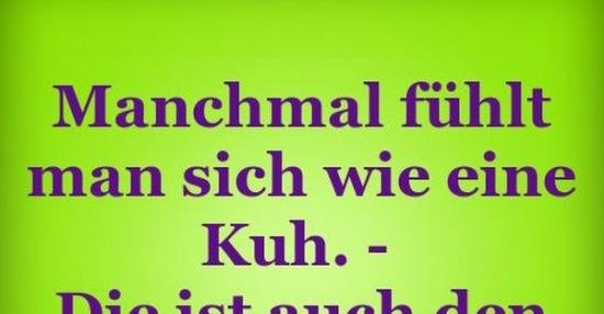 Manchmal fühlt man sich wie eine Kuh.. | Lustige Bilder, Sprüche, Witze ...