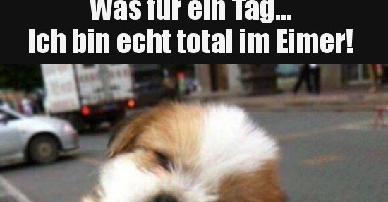 Was für ein Tag... Ich bin echt total im Eimer!.. - DEBESTE.de