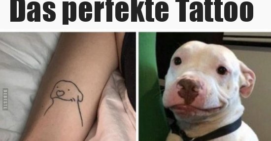 Das perfekte Tattoo.. | Lustige Bilder, Sprüche, Witze, echt lustig