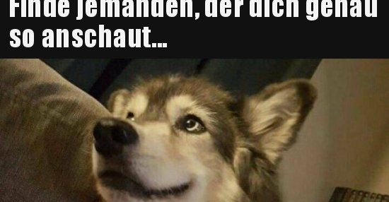 Finde jemanden, der dich genau so anschaut... - DEBESTE.de