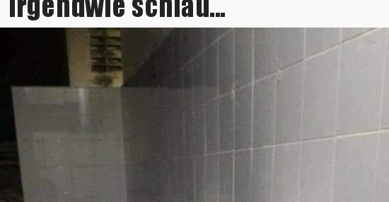 Irgendwie schlau... | Lustige Bilder, Sprüche, Witze, echt lustig