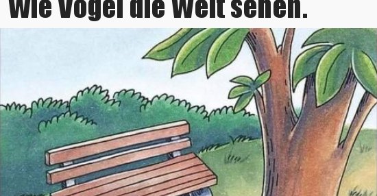 Wie Vögel die Welt sehen... - DEBESTE.de