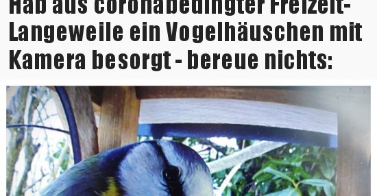 Hab aus coronabedingter Freizeit-Langeweile ein.. | Lustige Bilder ...