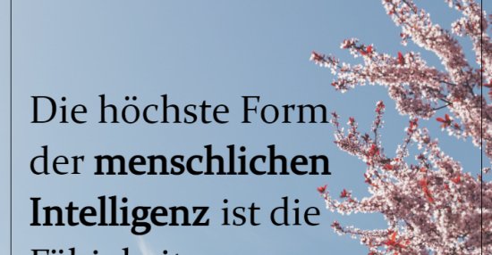 Die höchste Form der menschlichen Intelligenz ist die.. | Lustige ...
