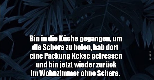 Bin in die Küche gegangen, um die Schere zu holen, hab.. | Lustige ...