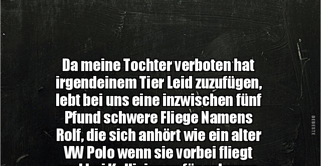 Da meine Tochter verboten hat irgendeinem Tier Leid zuzufügen, lebt bei ...