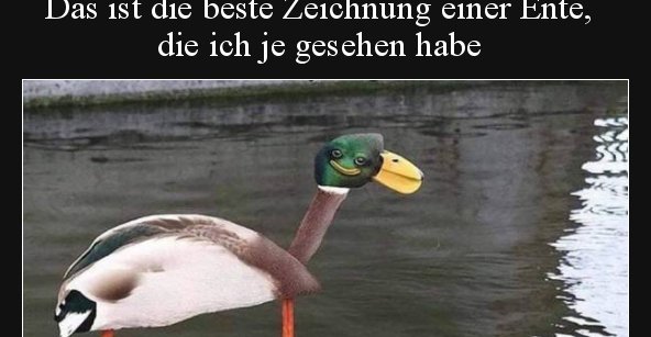 Das ist die beste Zeichnung einer Ente, die ich je gesehen.. - DEBESTE.de