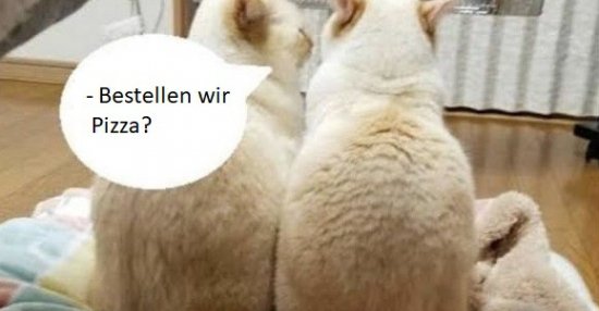 - Bestellen wir Pizza?... | Lustige Bilder, Sprüche, Witze, echt lustig