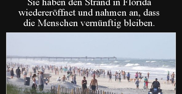 Sie haben den Strand in Florida wiedereröffnet und nahmen.. | Lustige ...