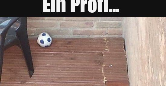 Ein Profi... | Lustige Bilder, Sprüche, Witze, echt lustig