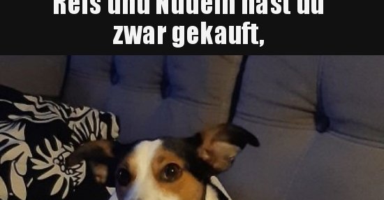 Reis und Nudeln hast du zwar gekauft, aber wo bleiben die.. | Lustige ...