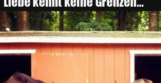 Liebe kennt keine Grenzen... - DEBESTE.de