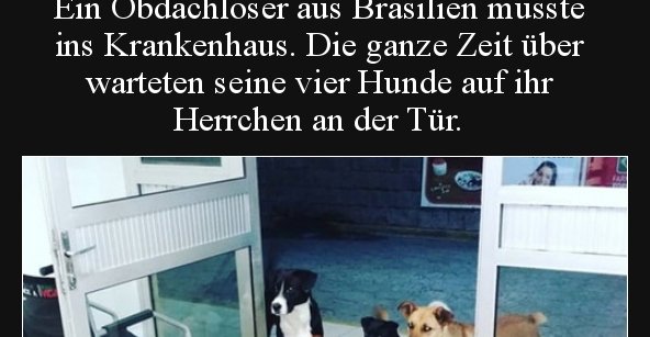 Ein Obdachloser aus Brasilien musste ins Krankenhaus.. | Lustige Bilder ...