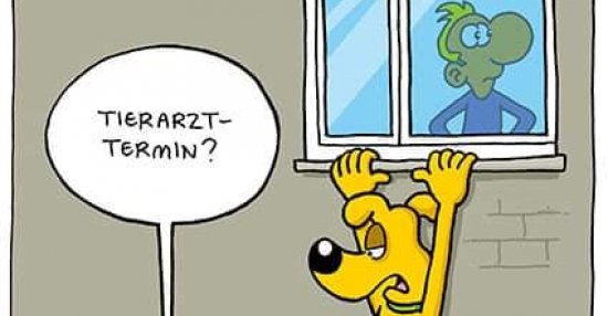 Tierarzt-Termin?.. | Lustige Bilder, Sprüche, Witze, echt lustig