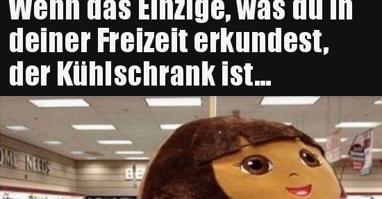 Wenn das Einzige, was du in deiner Freizeit erkundest.. | Lustige ...