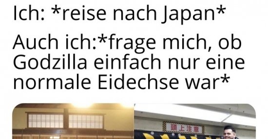 Ich: *reise nach Japan*.. | Lustige Bilder, Sprüche, Witze, echt lustig