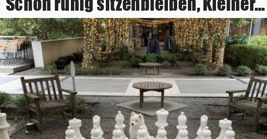 Schön ruhig sitzenbleiben, Kleiner... | Lustige Bilder, Sprüche, Witze ...