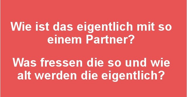 Wie ist das eigentlich mit so einem Partner? | Lustige Bilder, Sprüche ...