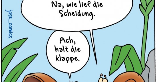 Na, wie lief die Scheidung.. | Lustige Bilder, Sprüche, Witze, echt lustig