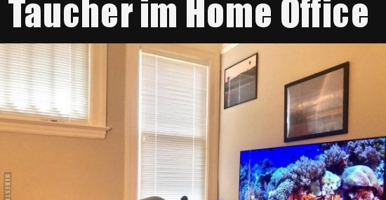 Taucher im Home Office.. | Lustige Bilder, Sprüche, Witze, echt lustig