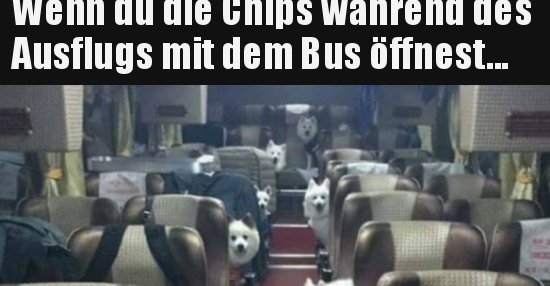 Wenn du die Chips während des Ausflugs mit dem Bus.. | Lustige Bilder ...