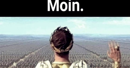 Moin. | Lustige Bilder, Sprüche, Witze, echt lustig