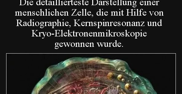 Die detaillierteste Darstellung einer menschlichen Zelle, die mit Hilfe ...