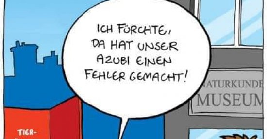 Ich fürchte, da hat unser Azubi einen Fehler gemacht!.. | Lustige ...